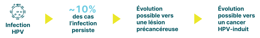 Les infections à HPV et leurs conséquences - MSD Connect, Le site des ...